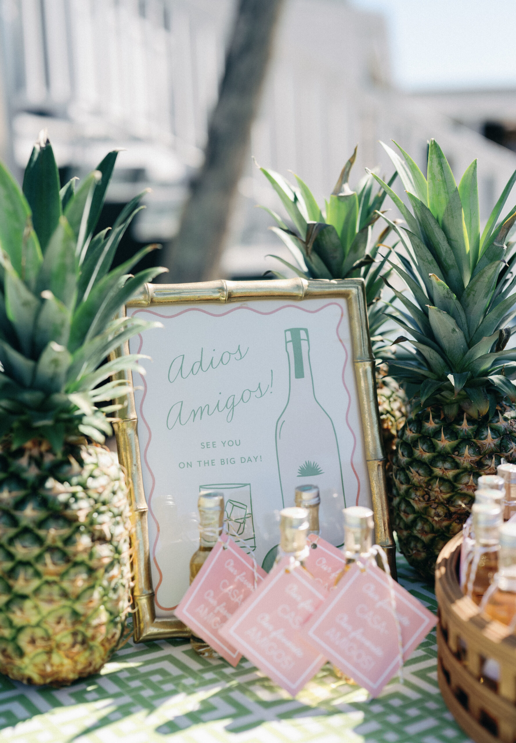 Gasparilla Inn Welcome Party & Rehearsal Dinner | Lydia & Oliver ...
